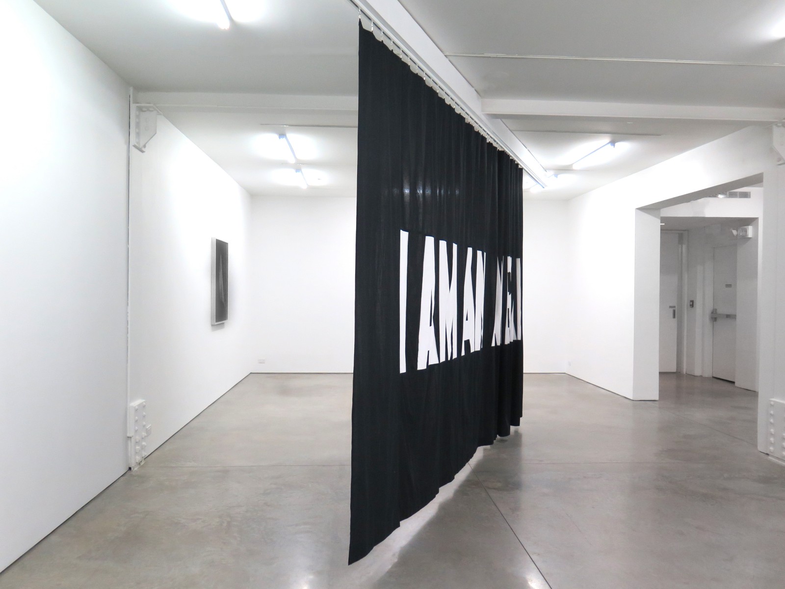 Total Transparencies | Stephanie Syjuco