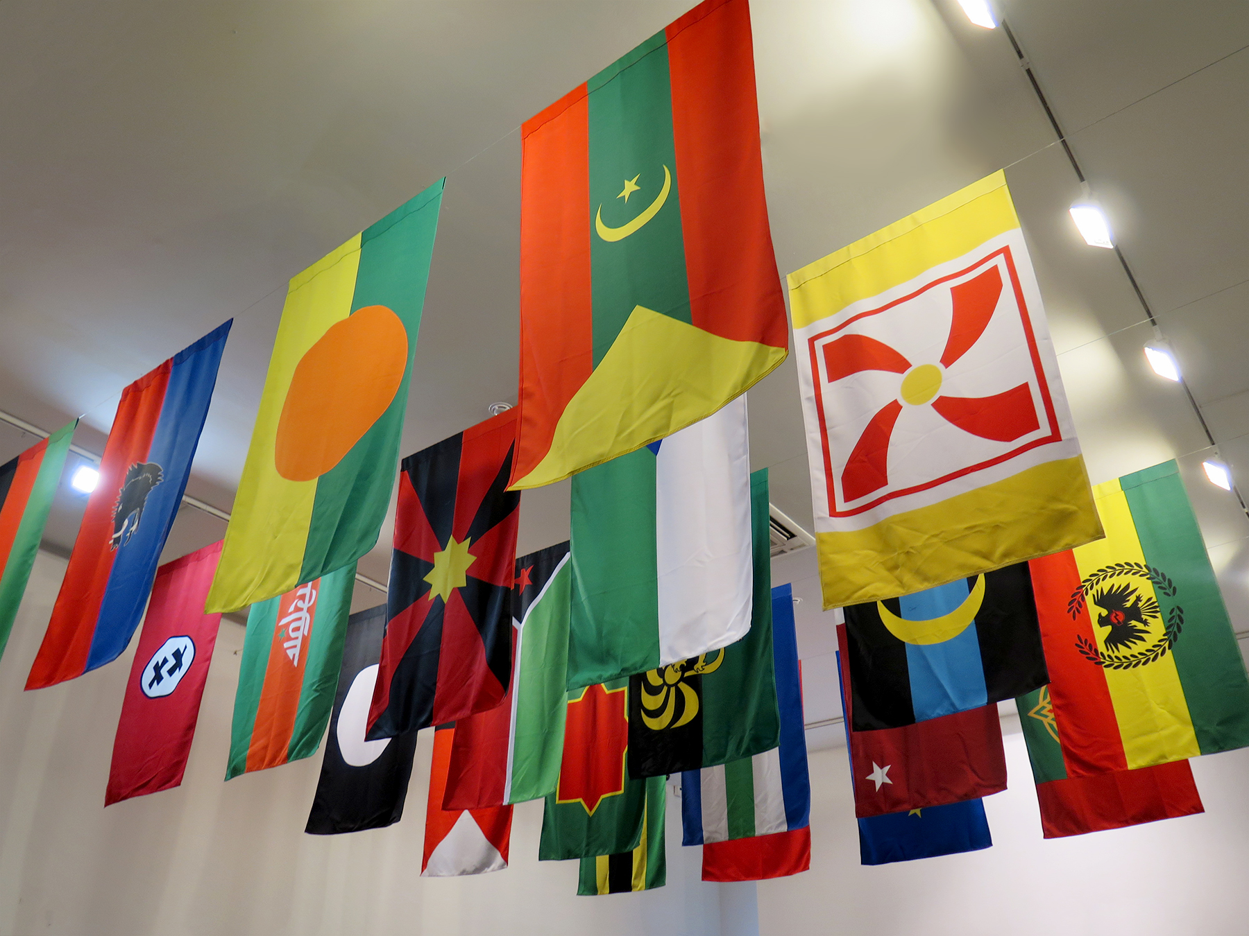 Rogue States | Stephanie Syjuco