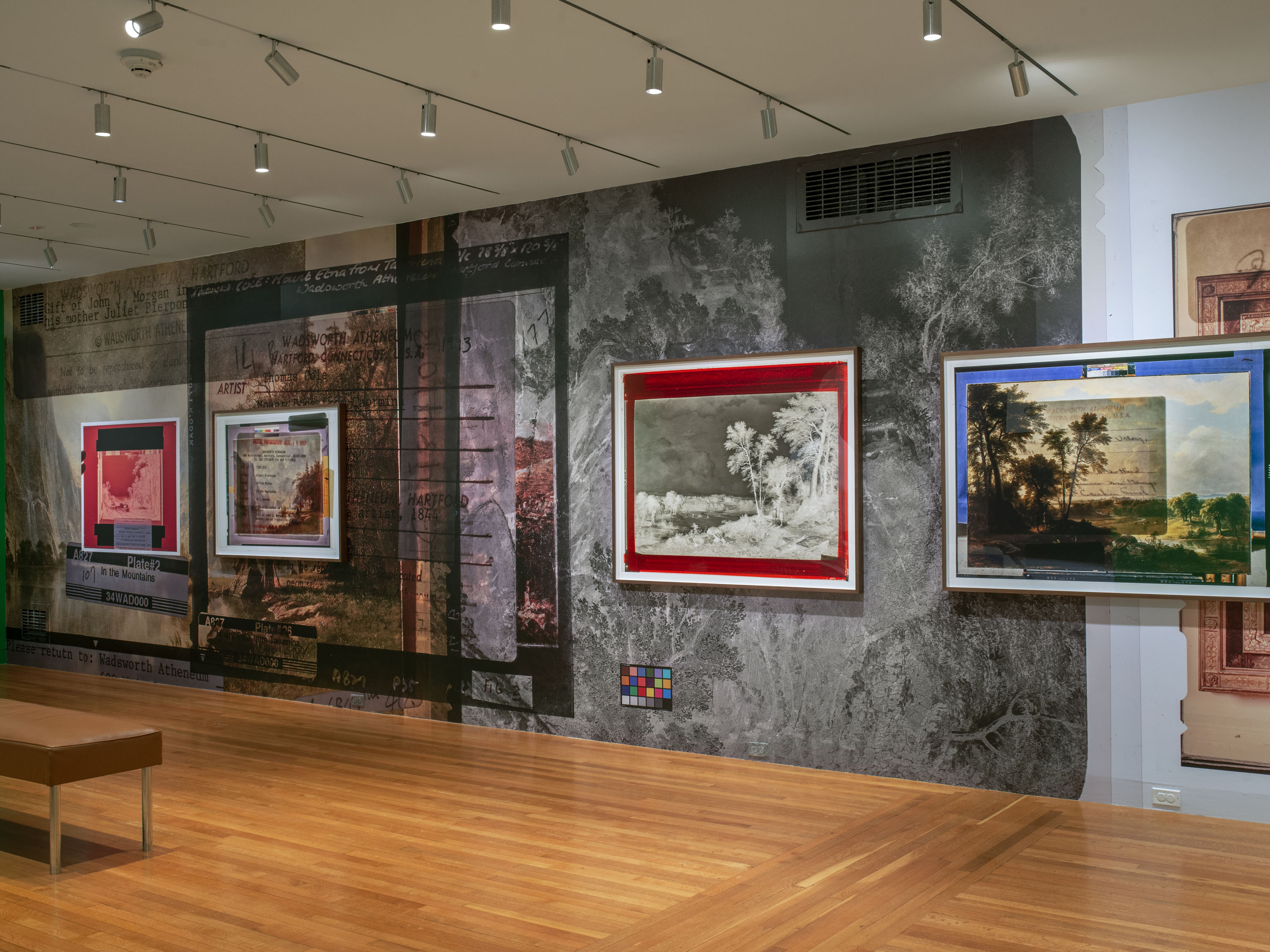 MATRIX 190: Stephanie Syjuco: Image Trafficking | Stephanie Syjuco