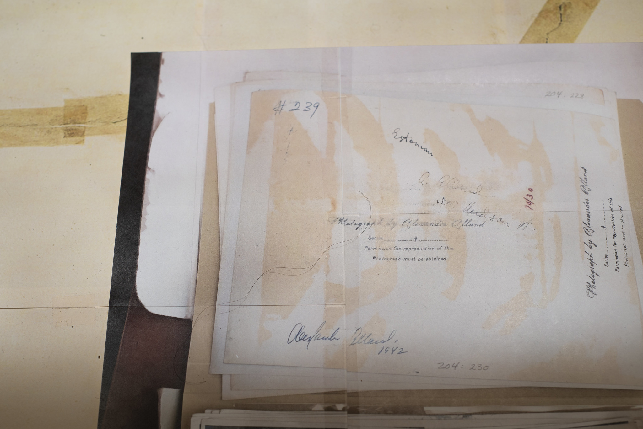 Figure/Ground Studies | Stephanie Syjuco