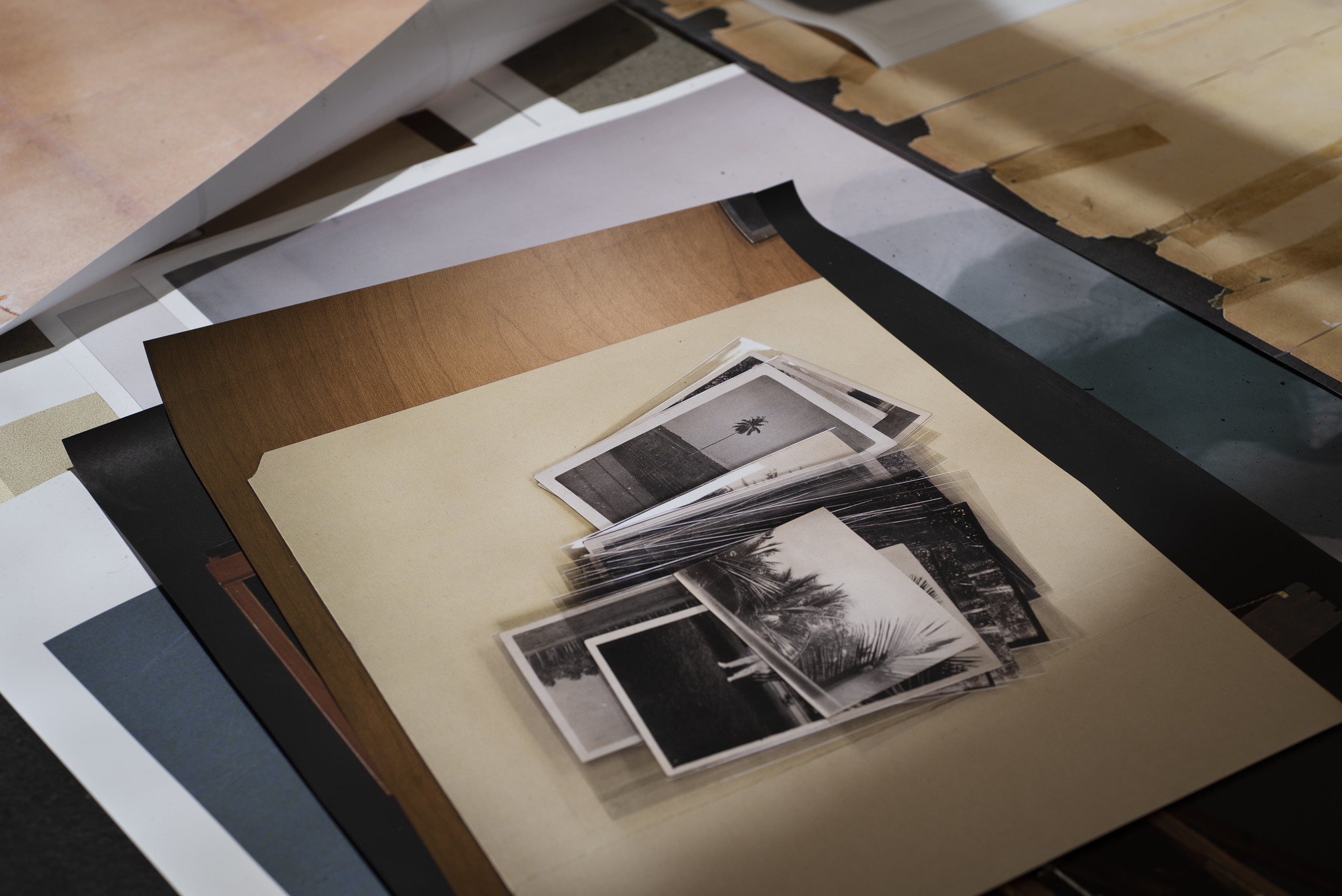 Figure/Ground Studies | Stephanie Syjuco