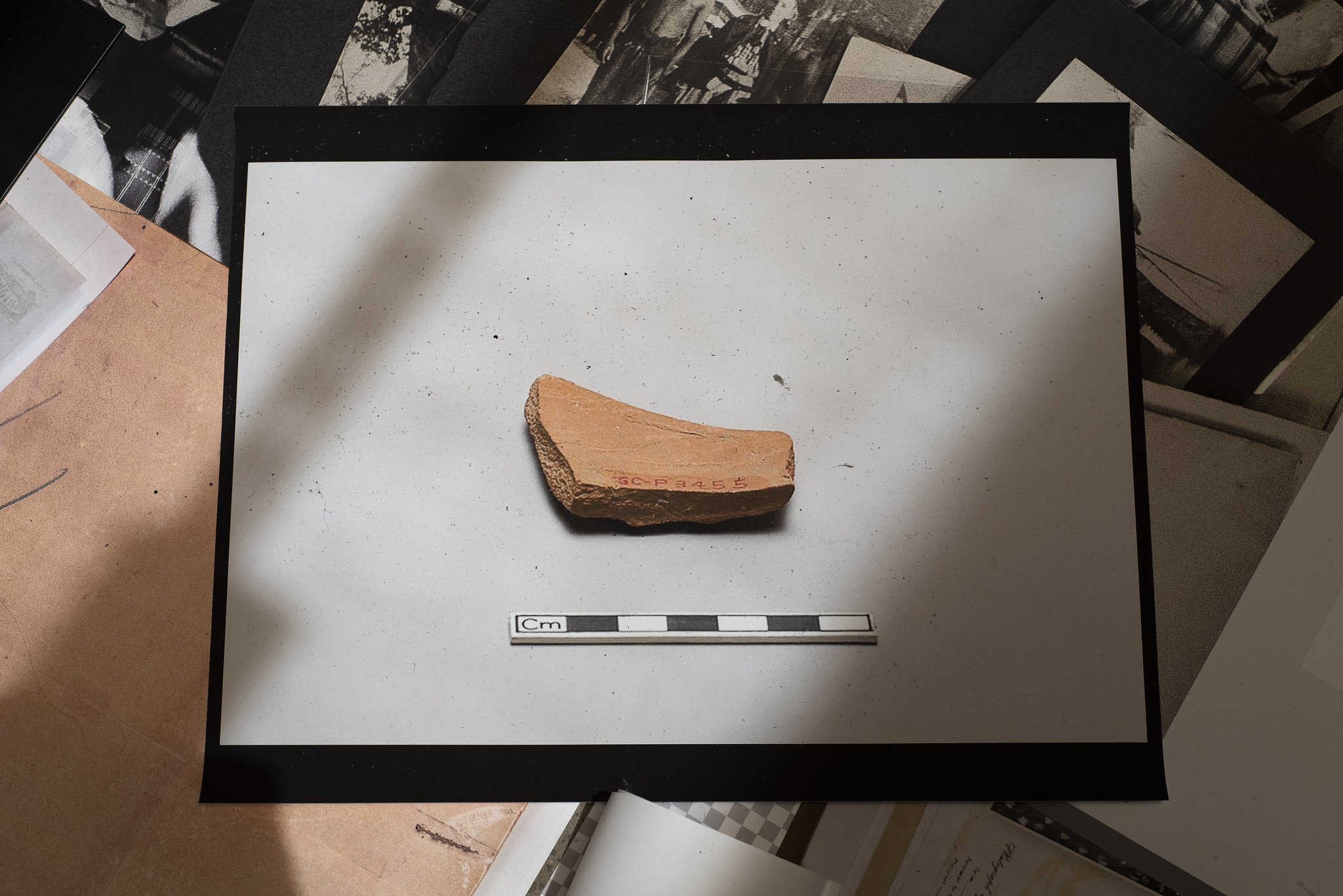 Figure/Ground Studies | Stephanie Syjuco