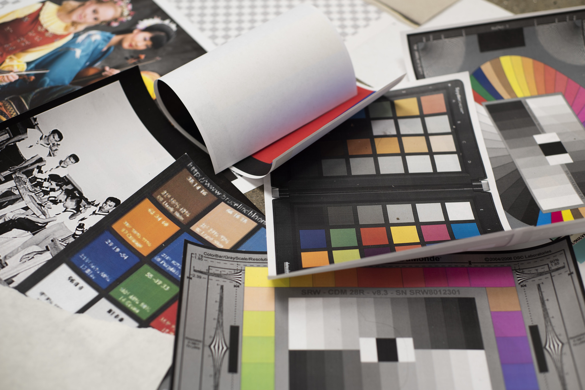 Figure/Ground Studies | Stephanie Syjuco