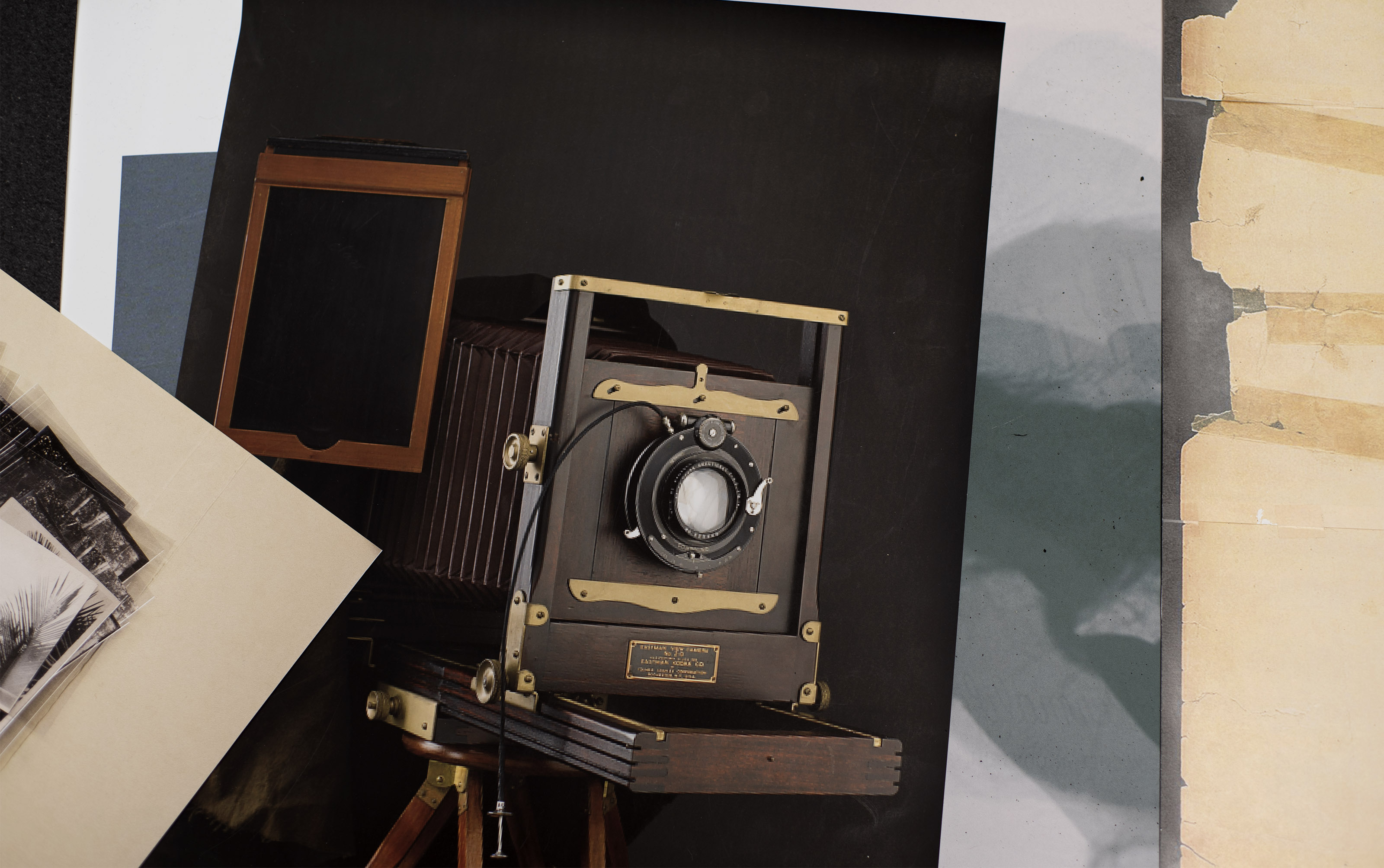 Figure/Ground Studies | Stephanie Syjuco