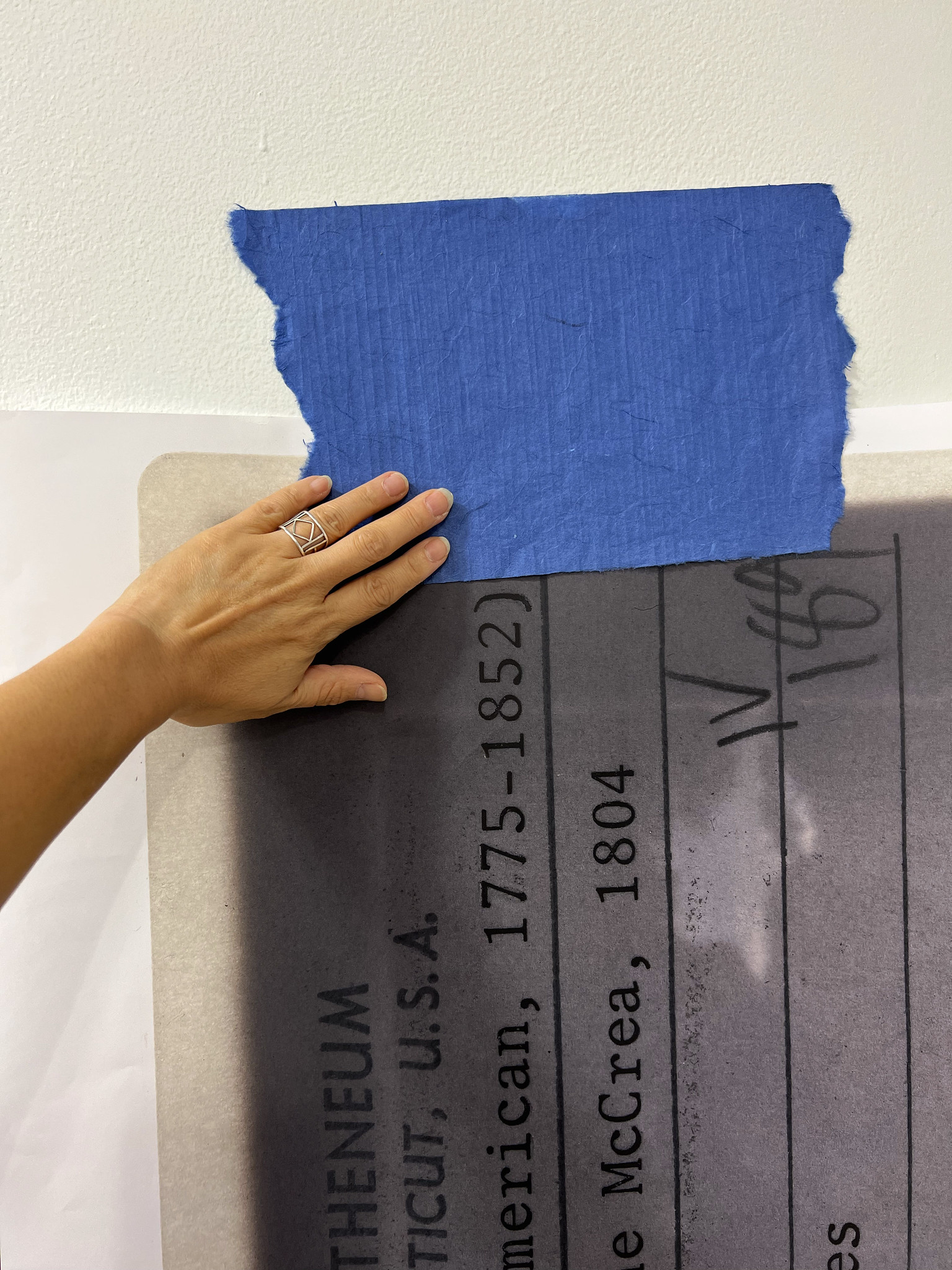 Joan Mitchell Studio Residency work | Stephanie Syjuco